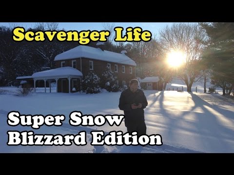 Scavenger Life Episode 241: Super Snow Blizzard Edition - Scavenger Life